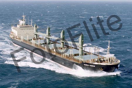Sanko Venus - Bulker - Ship Photos - Fotoflite Ship Image Library