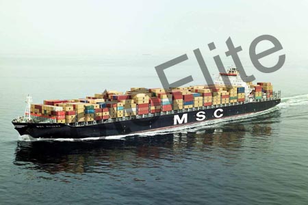 MSC Silvana - Container Ship - Ship Photos - Fotoflite Ship Image Library
