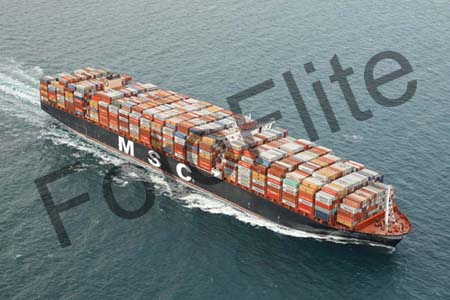 MSC Maya - Container Ship - Ship Photos - Fotoflite Ship Image Library